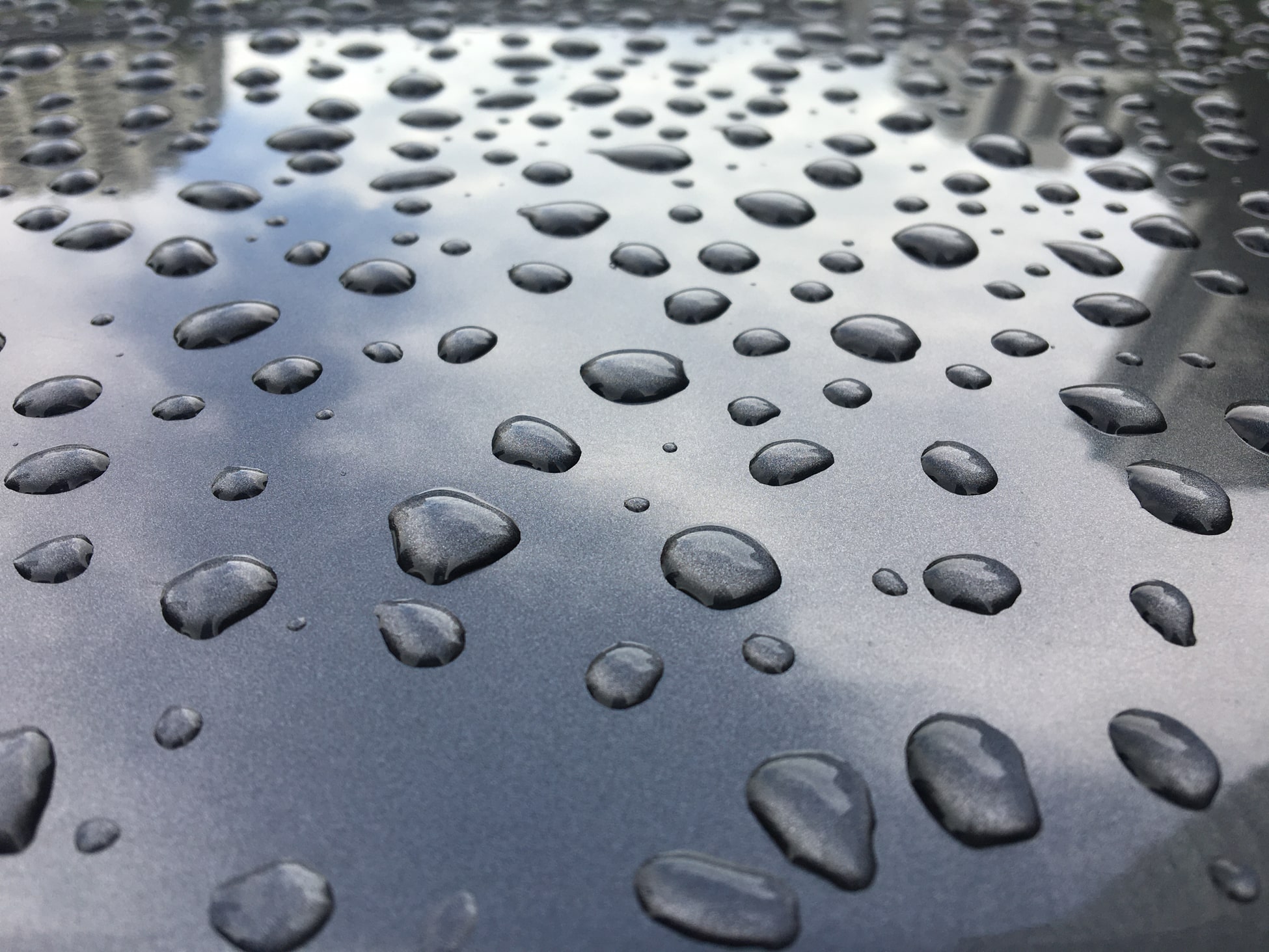 Best flat roof systems for rooftop gardens - easy guide