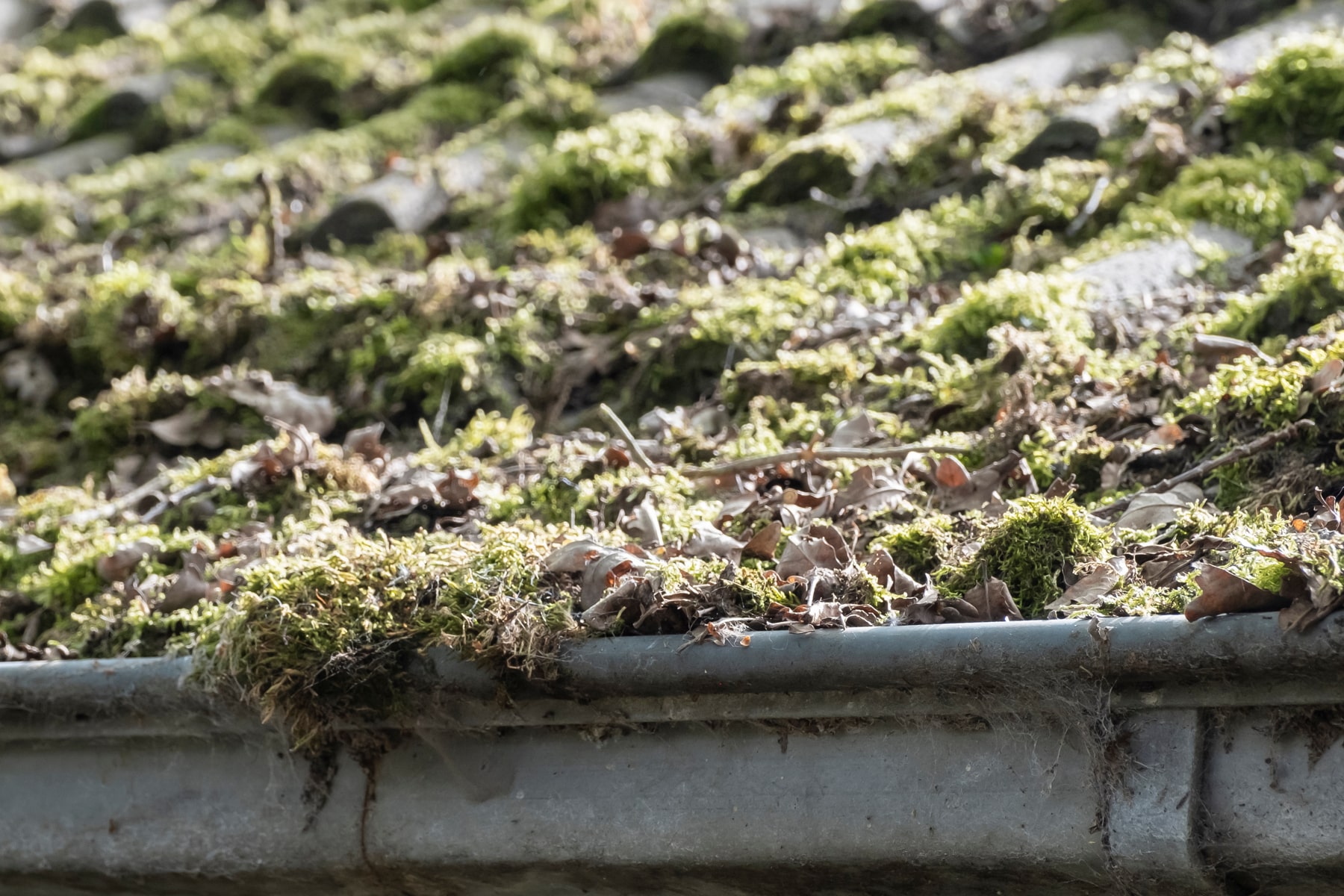 Removing debris safely from your roof - expert tips