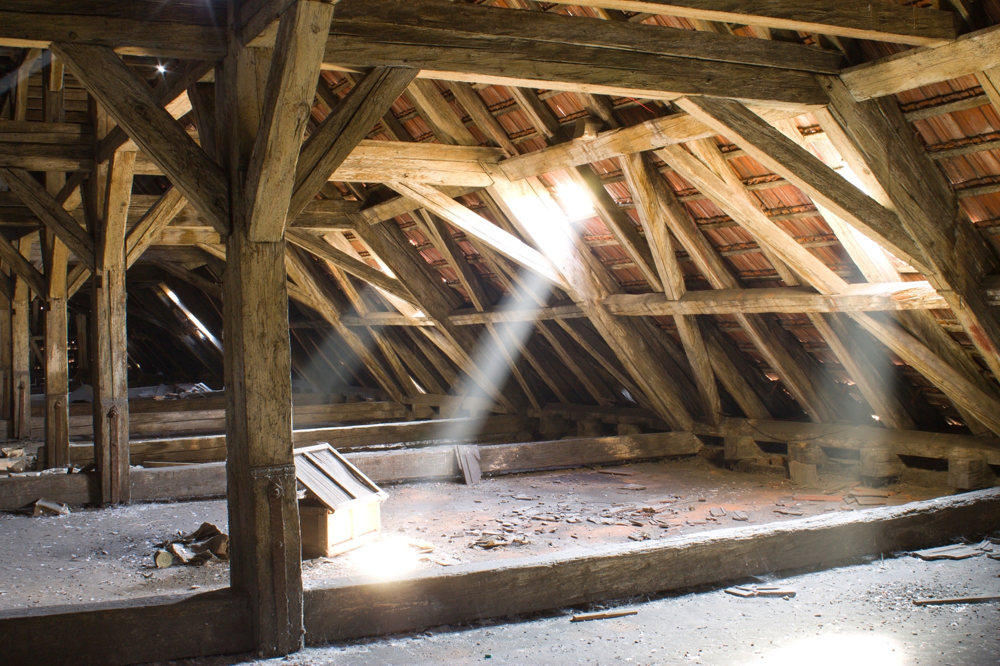 Signs your roof has wet or dry rot - roof timber guide